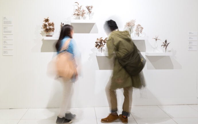 Mitch Mahoney (Boon Wurrung) | NETS Victoria